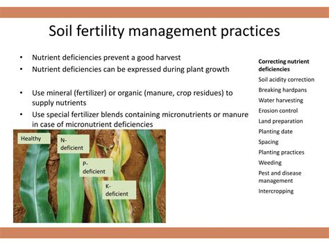 PPT Soil Soil Fertility PowerPoint Presentation Free Download ID