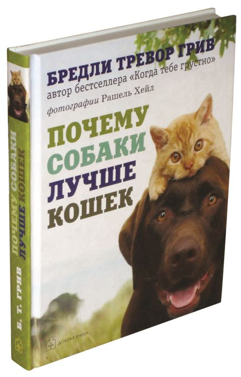 Почему собаки лучше кошек