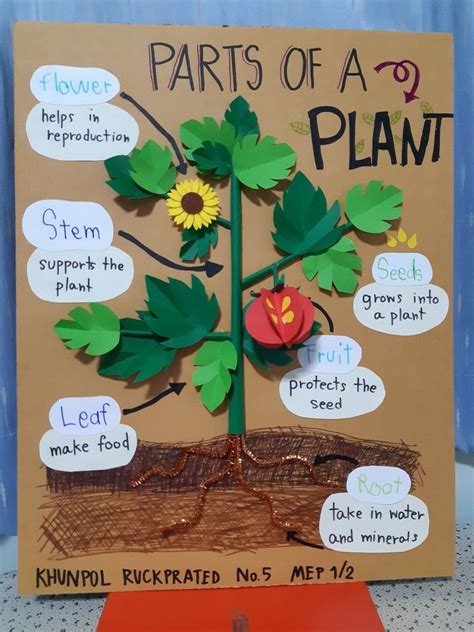 Class Plant Project Artofit