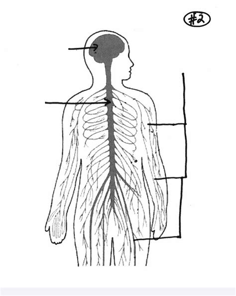 Graph 2 Ap Psych Diagram Quizlet