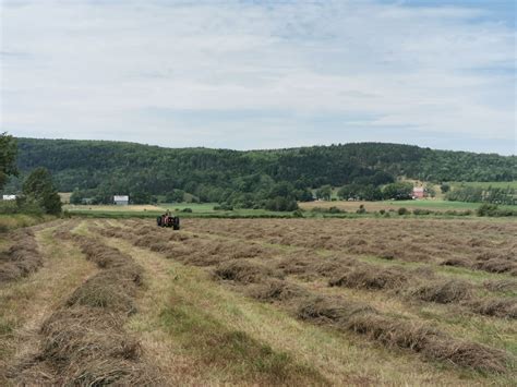 Community Of Clarence