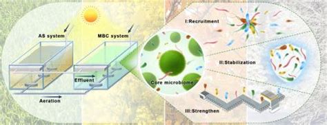 Revealing Real Impact Of Microalgae On Seasonal Dynamics Of Bacterial