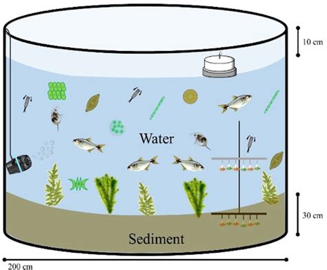 Metu Mesocosm System Middle East Technical University Metu