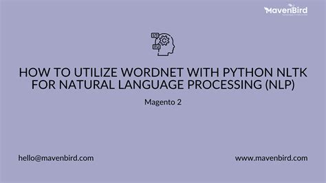 How To Utilize Wordnet With Python Nltk For Nlp Mavenbird