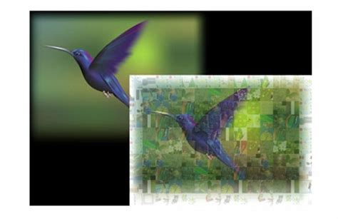 Coreldraw Graphics Suite Download