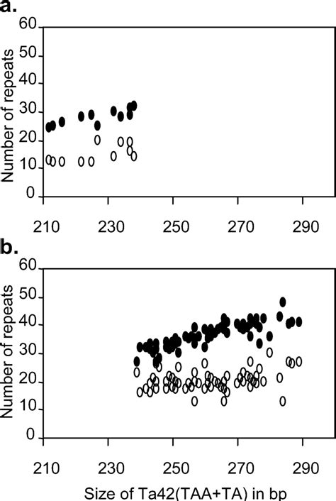 A B Plot Of Allele Sizes Of Ta TAA TA Vs The Number Of TAA N Download Scientific Diagram