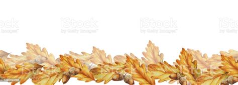 수채화 물감은 가을 참나무 잎과 도토리가 분리된 매끄러운 경계입니다 추수감사절 디자이너를 위한 할로윈 일러스트레이션 스크랩북 디자이너 엽서 파티 초대장 포장지 표지 포스터