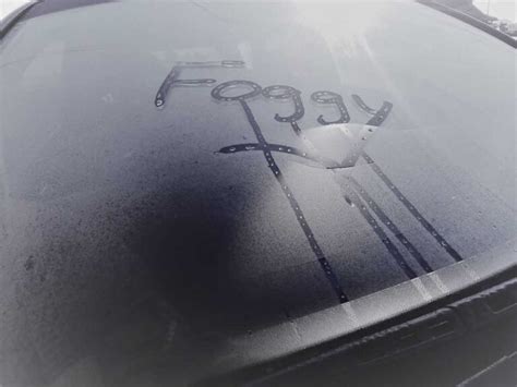 Why Are My House Windows Foggy Causes And Prevention Tips