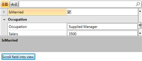 WPF PropertyGrid Scrolling Into View Telerik UI For WPF