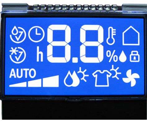 Segment LCD Display