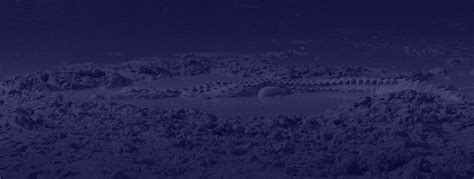 Bypassing Fileblockexecutable In Sysmon 140 A Lesson In Analyzing Assumptions Ruic