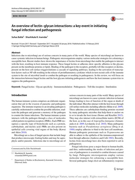 An Overview Of Lectin Glycan Interactions A Key Event In Initiating Fungal Infection And