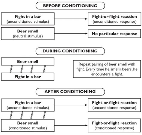 Classical Conditioning Introductory Psychology Classical Conditioning