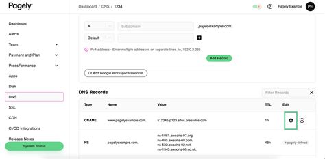 Managing DNS Records Pagely SupportOps