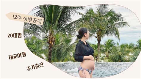 임신 브이로그 조기 출산 브이로그 12주 성별공개 태교여행 20대 임산부 20대맘 Youtube