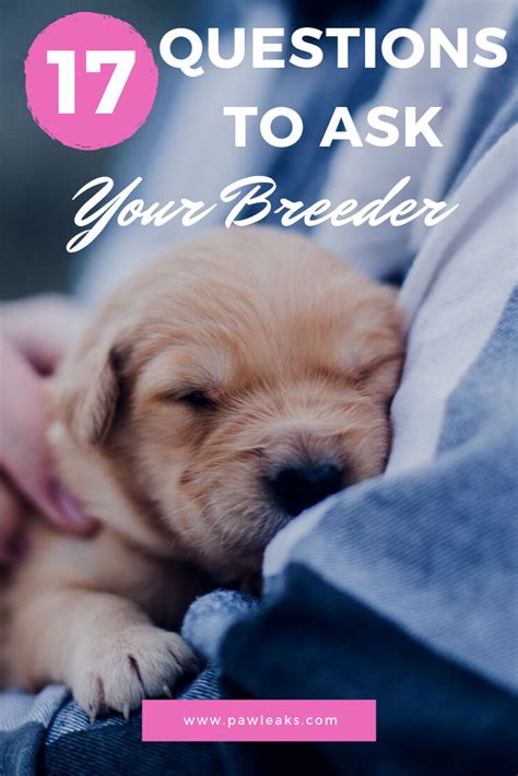 All 17 Questions You Need To Ask Your Potential Breeder Artofit