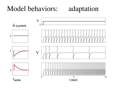 Ppt Neural Coding Integrate And Fire Models Of Single And Multi