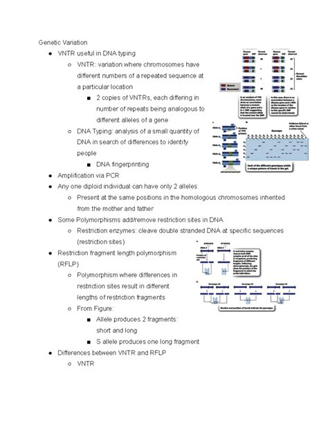 Pcr Covers Pcr And Genetic Variation And Vntr Hqhwlf 9duldwlrq Ɣ