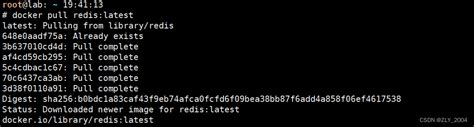 Docker 安装redis容器进入docker 安装redis容器 Csdn博客