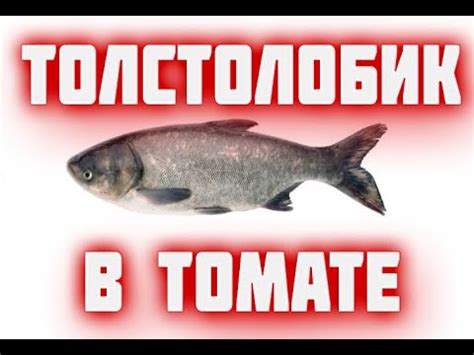 ТОЛСТОЛОБИК в томатном соусе в АВТОКЛАВе Домашние рыбные консервы в ...
