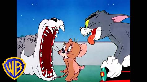 Old Tom And Jerry Cartoon