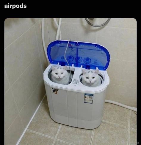 Qt学习记录（十一）画背景图，简单绘图，手动刷新窗口，qpixmap和qbitmapqt 绘制背景 Csdn博客