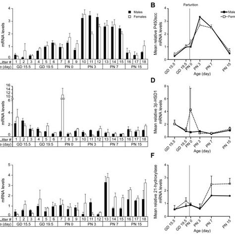 Relative Expression Of P450scc 3β Hsd1 And 21 Hydroxylase Genes Download Scientific Diagram