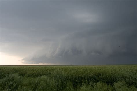 nuages à reconnaître pour prédire la météo