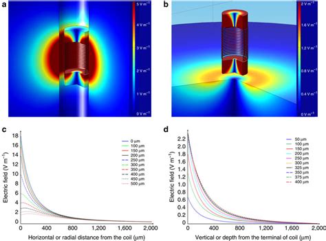 The Fem Simulationsa Three Dimensional Distribution Of The Electric