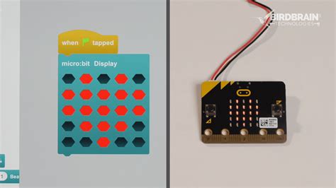 micro bit birdblox lessons birdbrain technologies