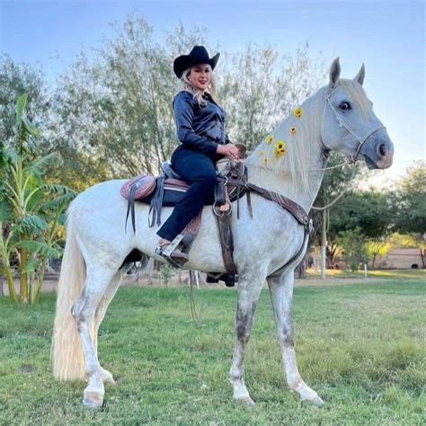 Norma Ibarra
