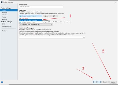 解决idea中 Import Sunmiscbase64decoder导入报错问题import Sunmisc