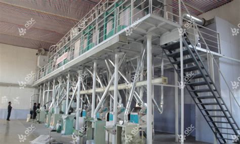 The Technology Of Maize Processing A Complete Guide From Field To Flour