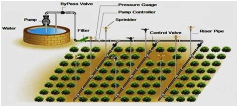 11 Layout Of Sprinkler Irrigation System 320 Download Scientific Diagram