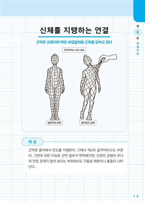 알라딘 미리보기 세상에서 가장 알기 쉬운 근육연결도감