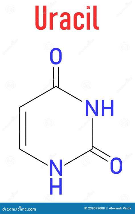 Uracil Nucleobase Molecule Present In Ribonucleic Acid Skeletal