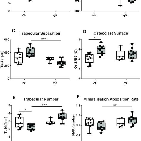 tibia trabecular and cortical bone parameters trabecular parameters