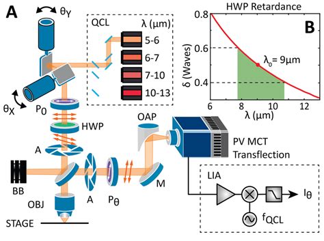 Schematic Layout Of The Ir Polarimetric Microscope With A Tuning Range