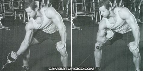 Curl Concentrado En Polea Bíceps Más Grandes