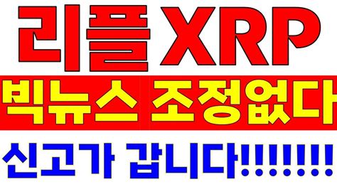 📌 리플 Xrp 엑스알피 Big 뉴스 신고가 바로 직행 갑니다 엑스알피 리플코인 리플전망 리플매수가 리플목표가 리플코인전망 Youtube