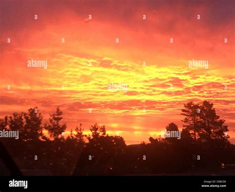 Sunset Over Tree Line Stock Photo Alamy Sunset Over Tree Line Stock Photo Alamy