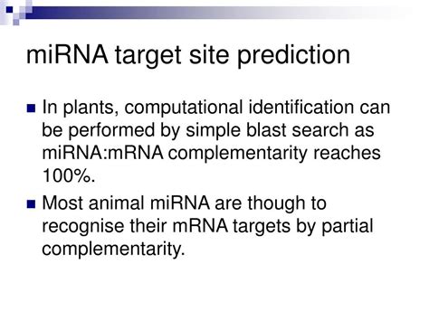 Ppt Computational Prediction Of Mirnas And Their Targets Overview Of