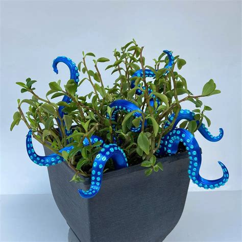Every House Plant Needs An Octopus