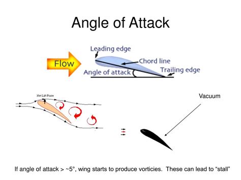 Ppt Flight And Other Locomotion In Birds Powerpoint Presentation Id