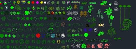 Plants Grass Trees Flowering Plants Bushes Shrubs Greens Palm Trees Flowers Garden