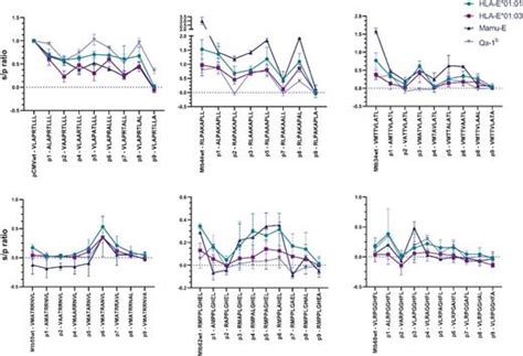 Peptide Binding To Hla E Molecules In Humans Nonhuman Primates And