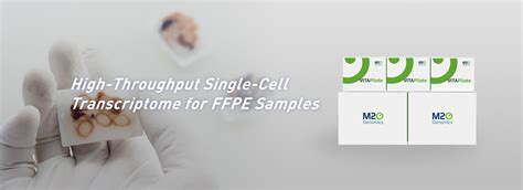 single cell transcriptome for ffpe samples m20 genomics