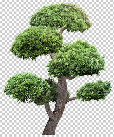 Tree Garden Landscape Greening PNG Free Download In 2023 Tree Photoshop Psd Free Photoshop
