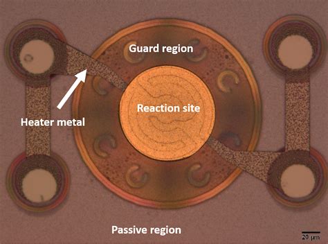 Developing A Silicon MEMS Chip For On Demand DNA Synthesis COMSOL Blog