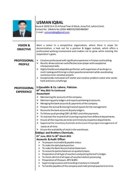 cv usman iqbal docx business accounting and finance business